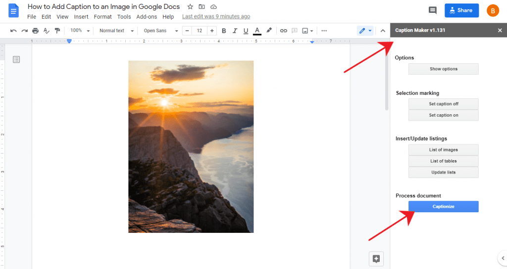 Figure Caption Google Docs DD Figure