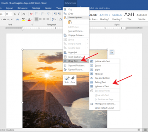 How to Fit a Picture to a Page in Word? - OfficeBeginner