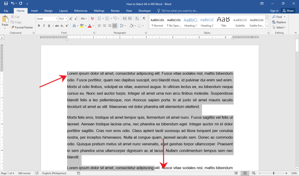 Word Find And Select All