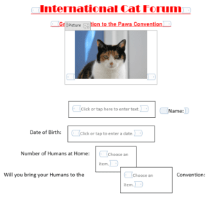 How to Create a Fillable Form in MS Word - OfficeBeginner